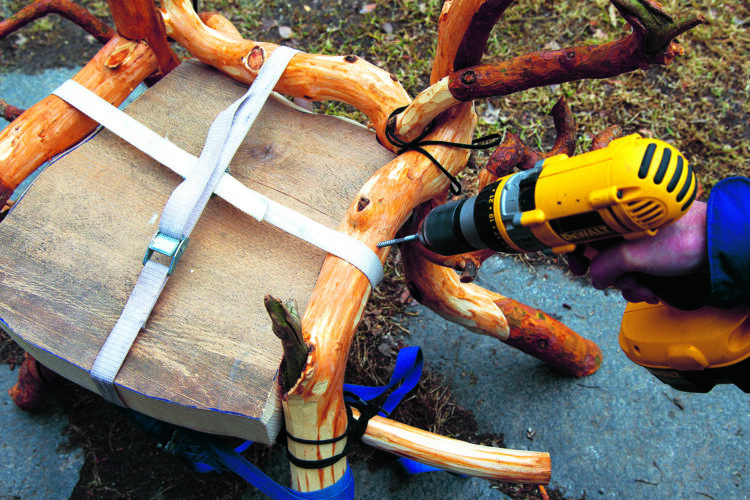 DIY Pine Branch Chair - Grit